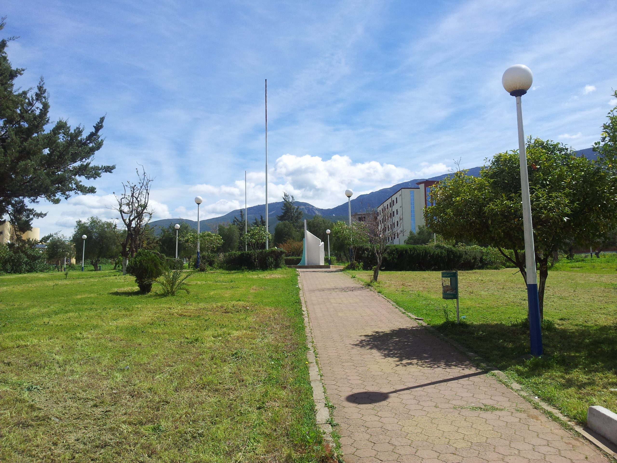 Central Services - Blida 1 University