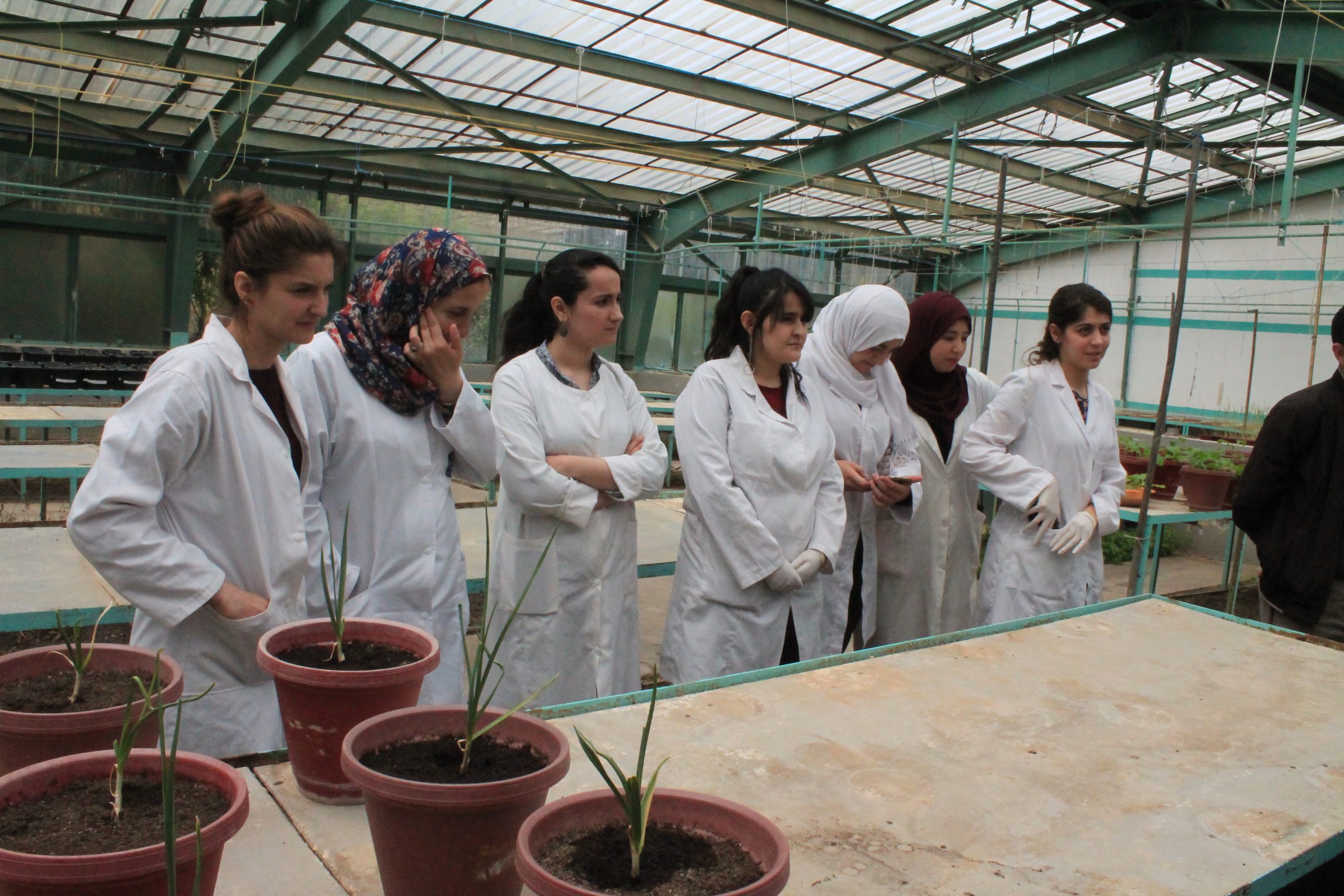 Laboratoires de Recherche - Université Blida 1