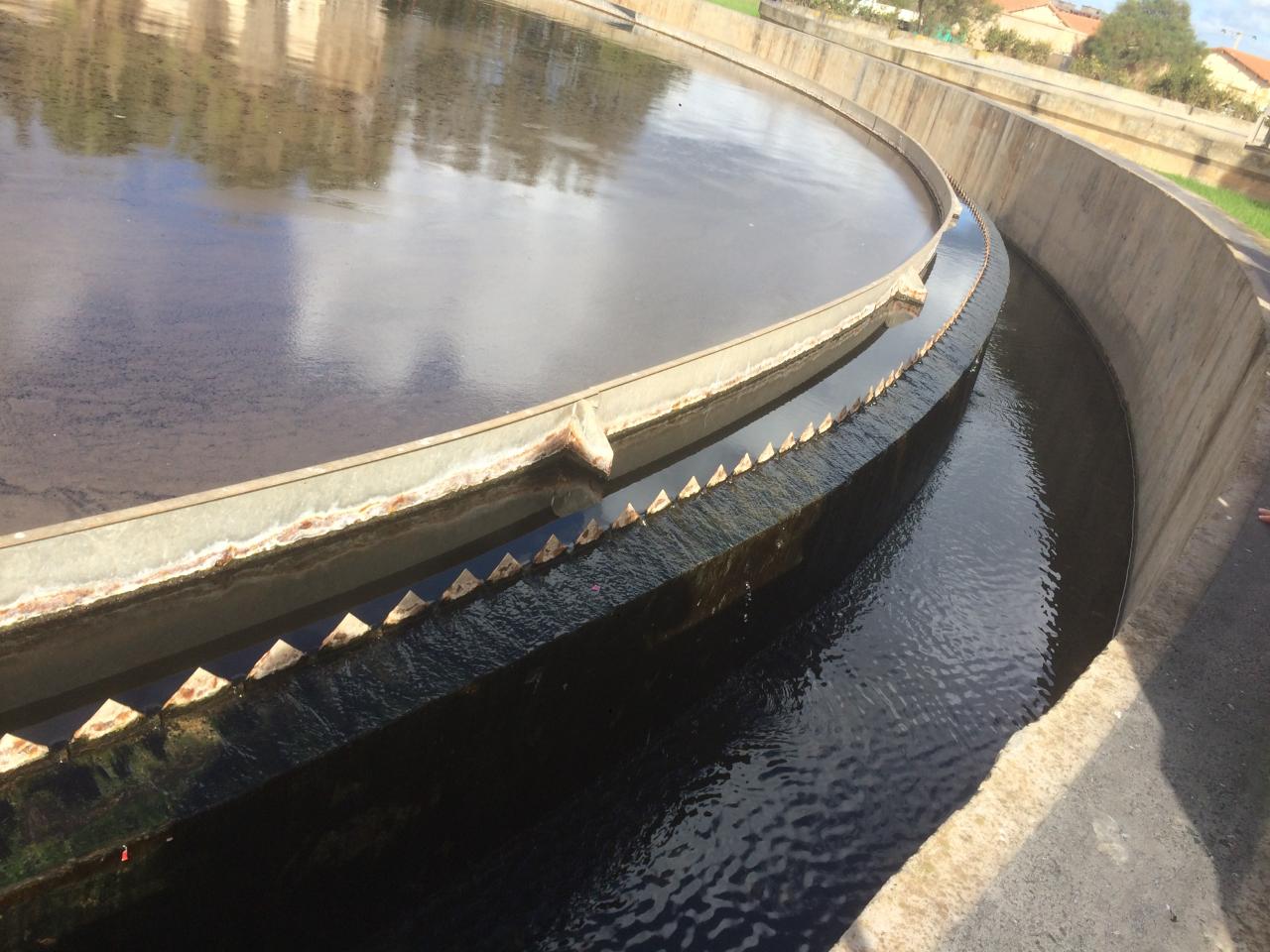 sortie pédagogique des L3 BEMA - Université Blida 1