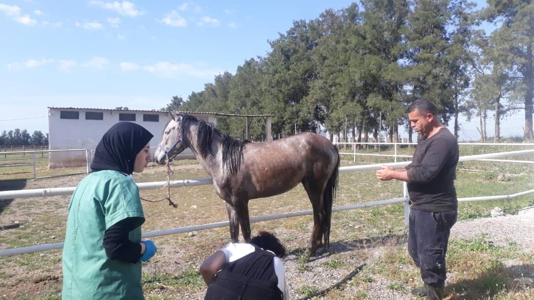 Campagne de vaccination - Université Blida 1