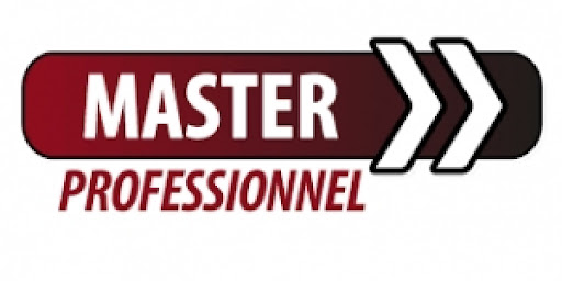 Appel à candidature pour la formation en master professionnel en ...